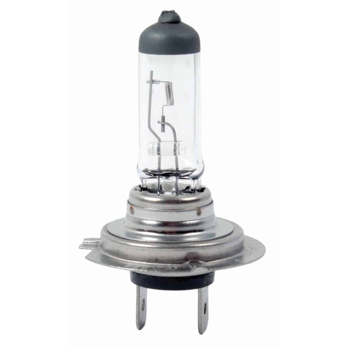 12 Volt 55 Watt H7 Halogen Headlight Globe - Lekr.co.za